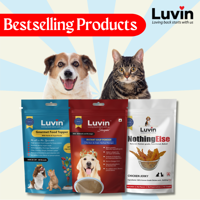 Bestselling Products