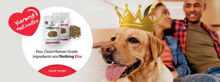 Loving back starts with us